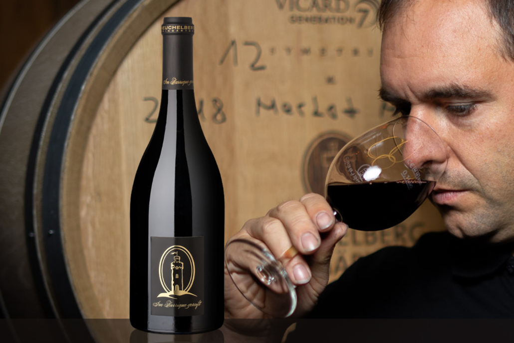 Heuchelberg Weingärtner - Weine aus der Region - Online Shop