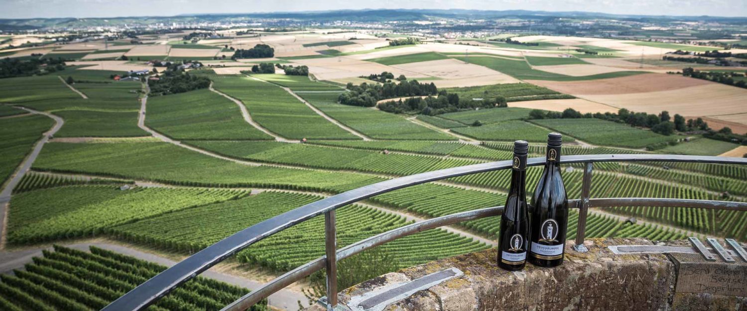 Unsere Region - Heuchelberg Weingärtner