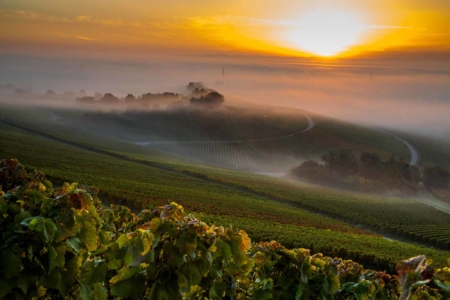 Unsere Region - Heuchelberg Weingärtner